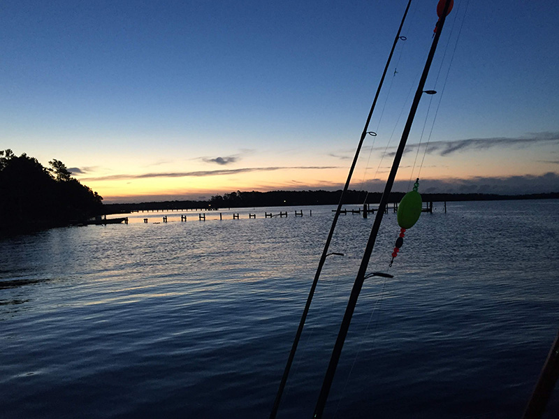 Private Sunset Cruise - Southern Tides Fishing Charters & Tours